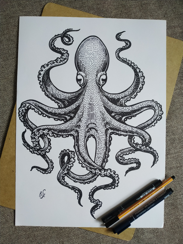 Rysunek: ośmiornica cienk blok t A3 250 g m2 | Warszawa | Kup teraz na ...