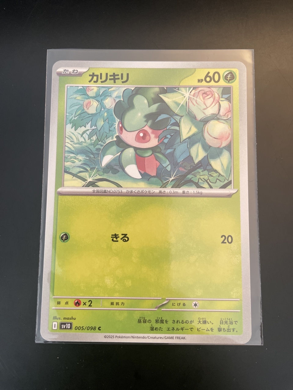 Fomantis 005/098 Glory of Team Rocket sv10 | Zielona Góra | Kup teraz na Allegro Lokalnie