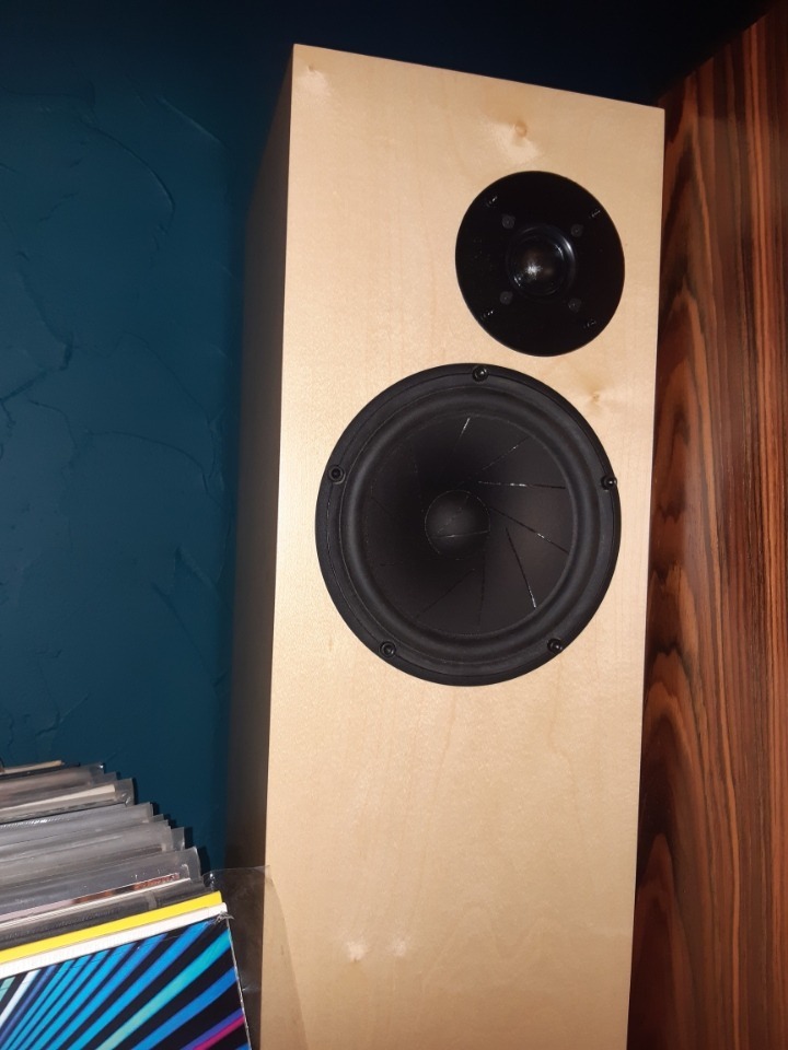 DIY Scan Speak Revelator | Czeladź | Kup teraz na Allegro Lokalnie