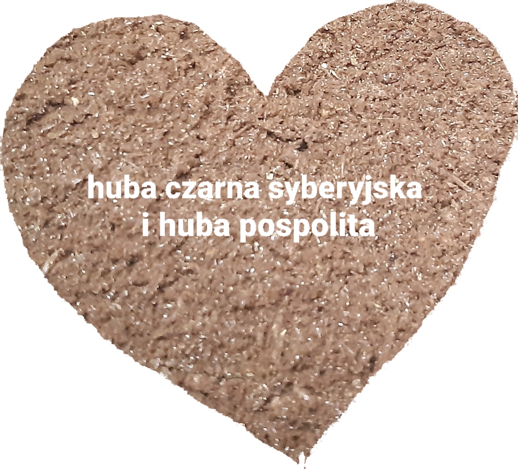 Huba Czarna Syberyjska i Pospolita grzyb mielona 100g | Staszow | Kup ...