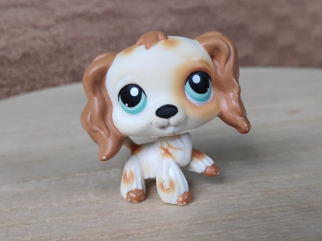 LPS Littlest Pet Shop pies piesek Spaniel pop #344 | Środa Wielkopolska ...
