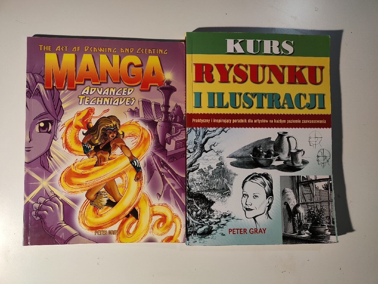 Kurs Rysunku i Ilustracji oraz The art of drawing and creating Manga ...