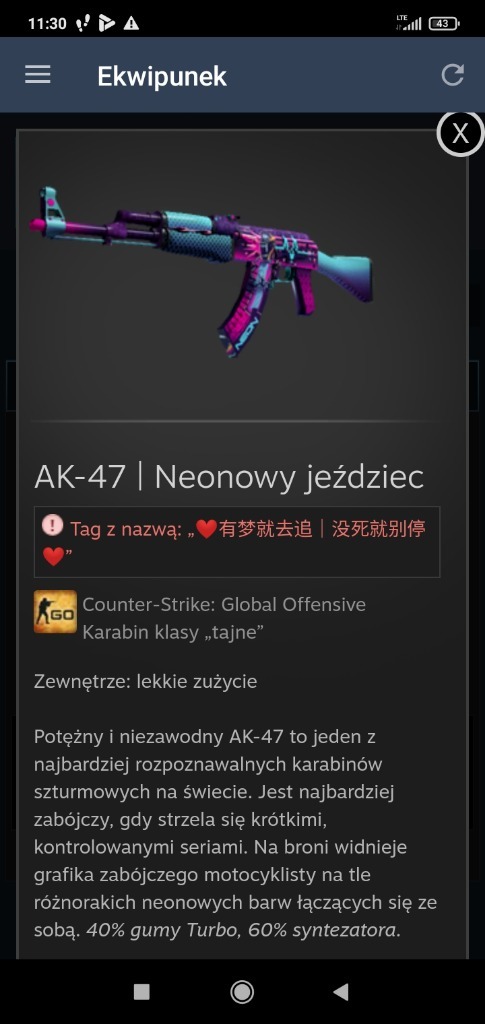 Ak-47 | Neon Rider - Niska cena na Allegro