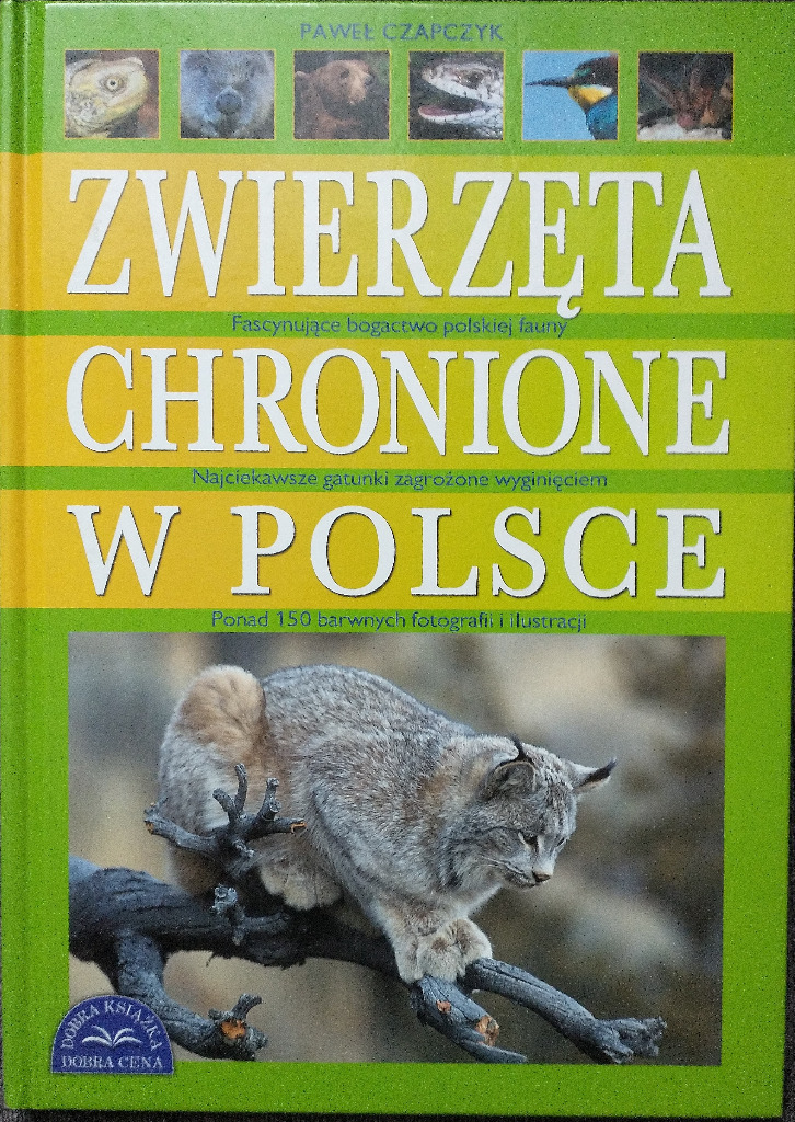 Zwierzęta chronione w Polsce | Rybnik | Kup teraz na Allegro Lokalnie