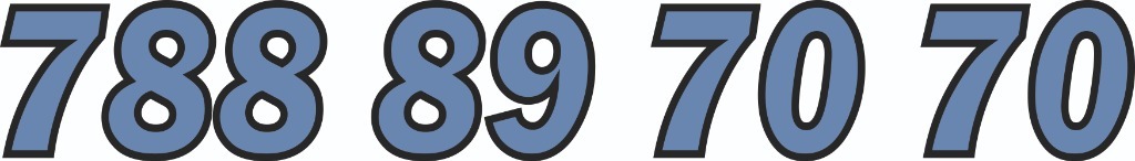 788 89 70 70 ZŁOTY NUMER STARTER HEYAH, F. VAT 23% | Szczecin | Kup ...