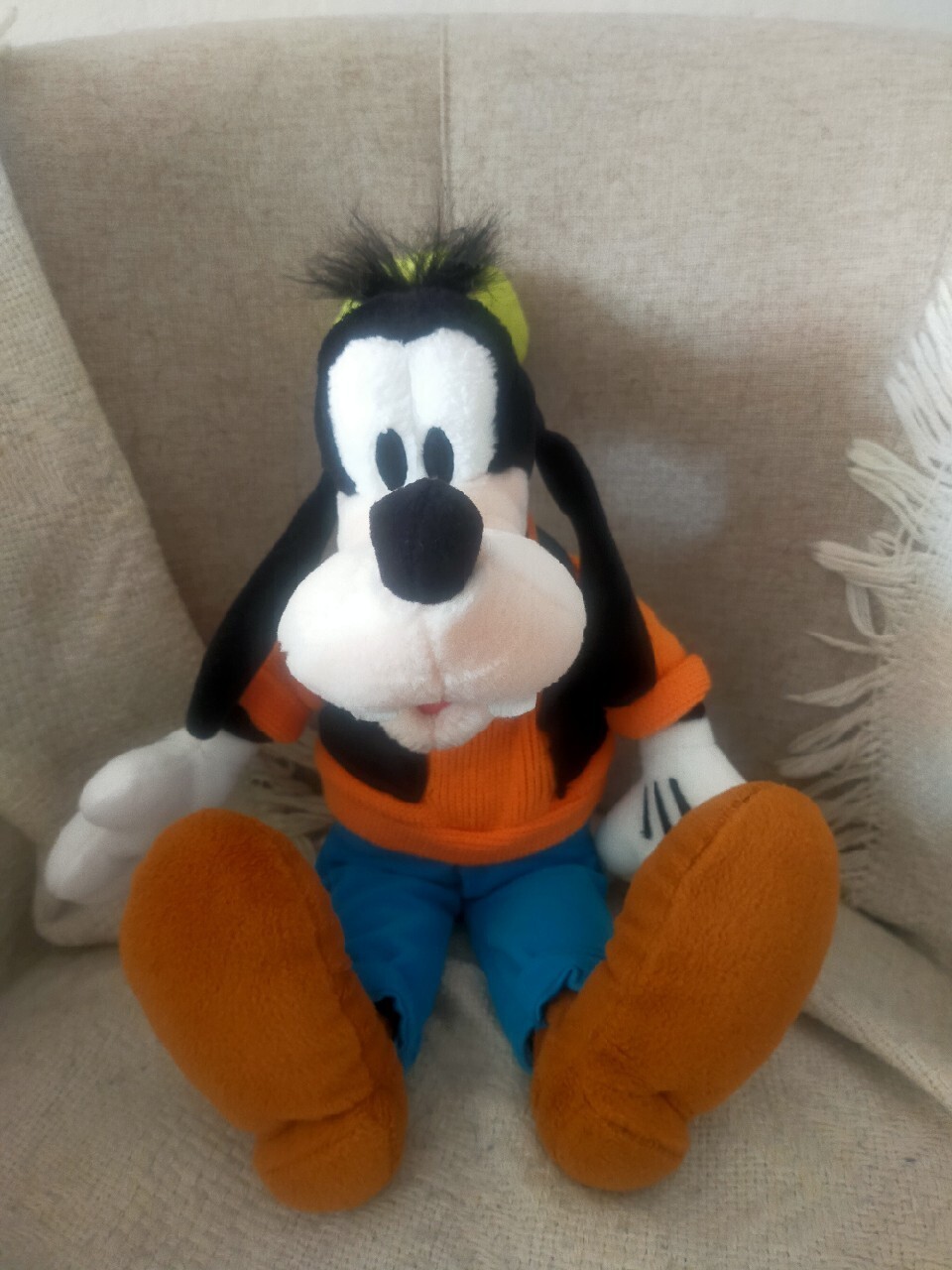 Goofy - Niska cena na Allegro.pl