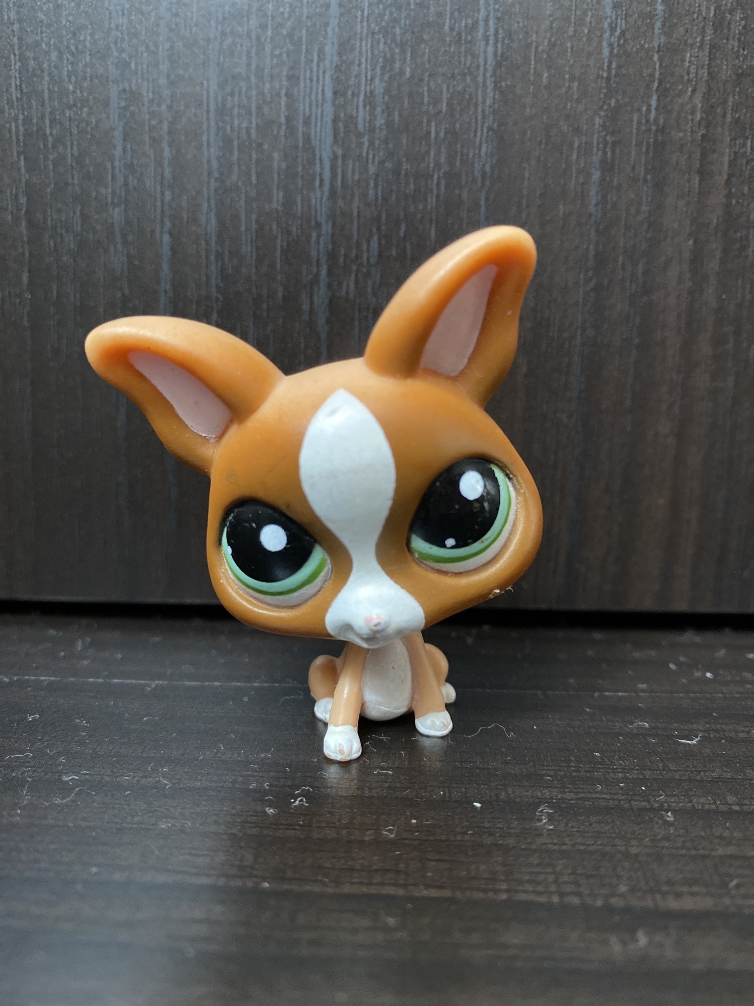 Hasbro Littlest Pet Shop Pies Chihuahua | Warszawa | Kup teraz na ...