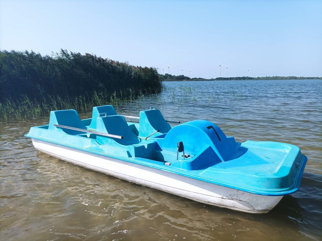 Rower wodny delfin duży 4 osobowy | Dobra | Ogłoszenie na Allegro Lokalnie