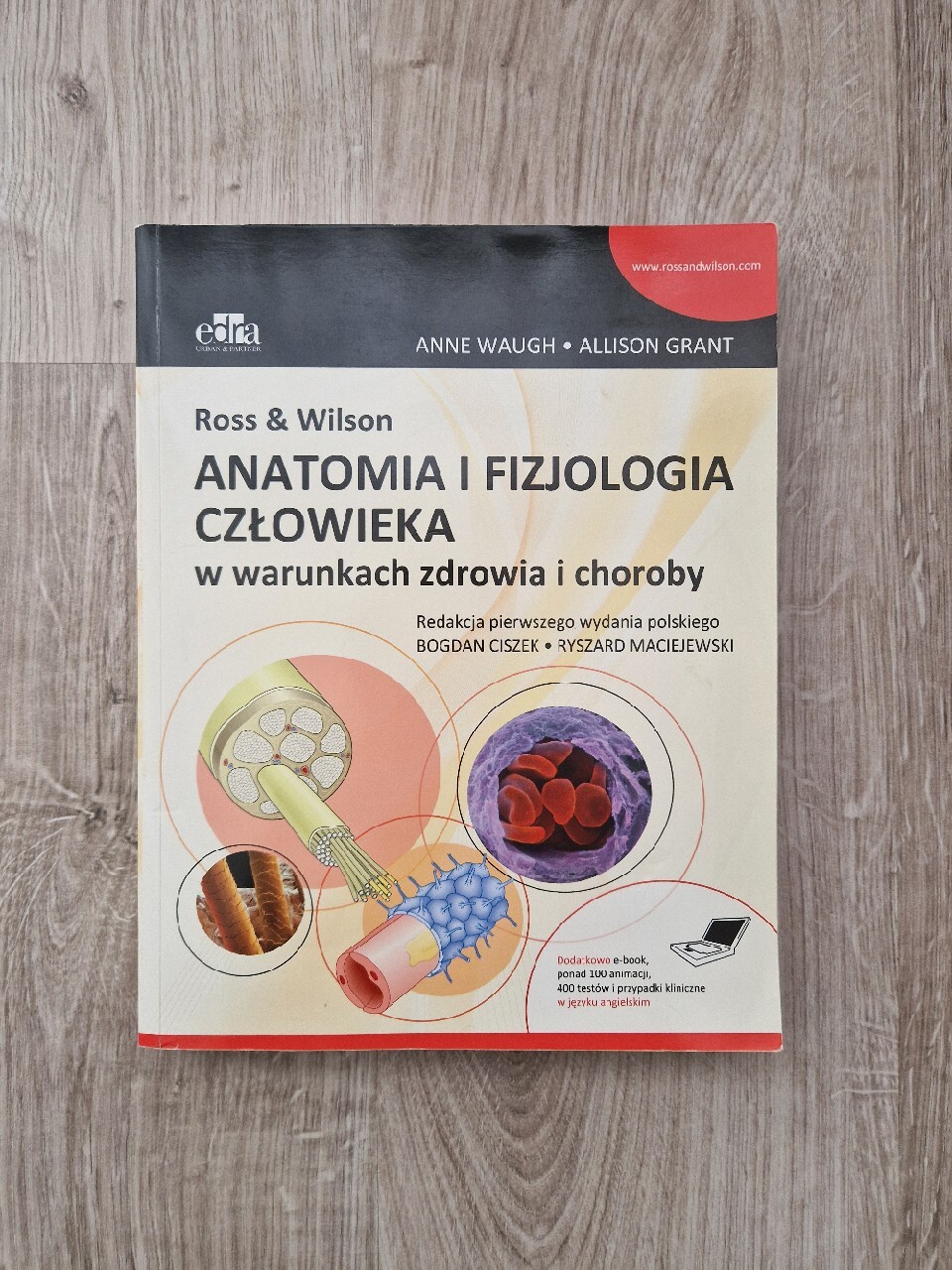 Anatomia i fizjologia człowiek w warunlach zdrowia i choroby Ross ...