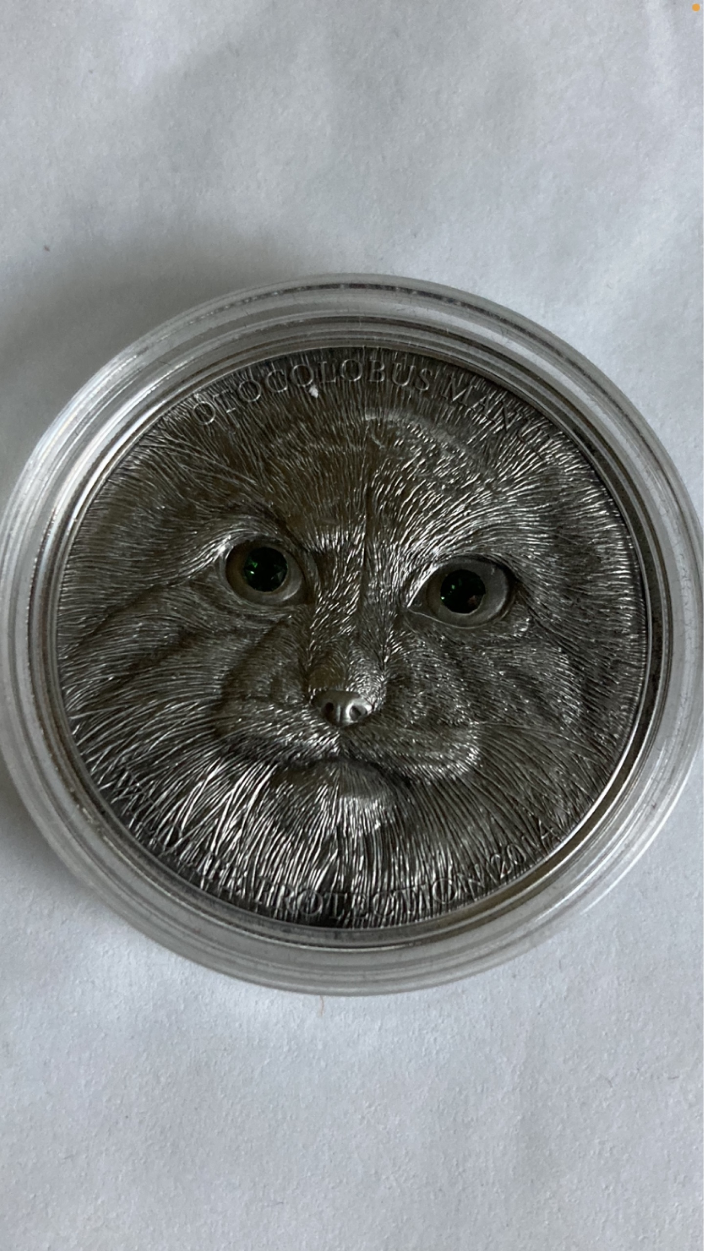 Manul Stepowy - Niska cena na Allegro.pl