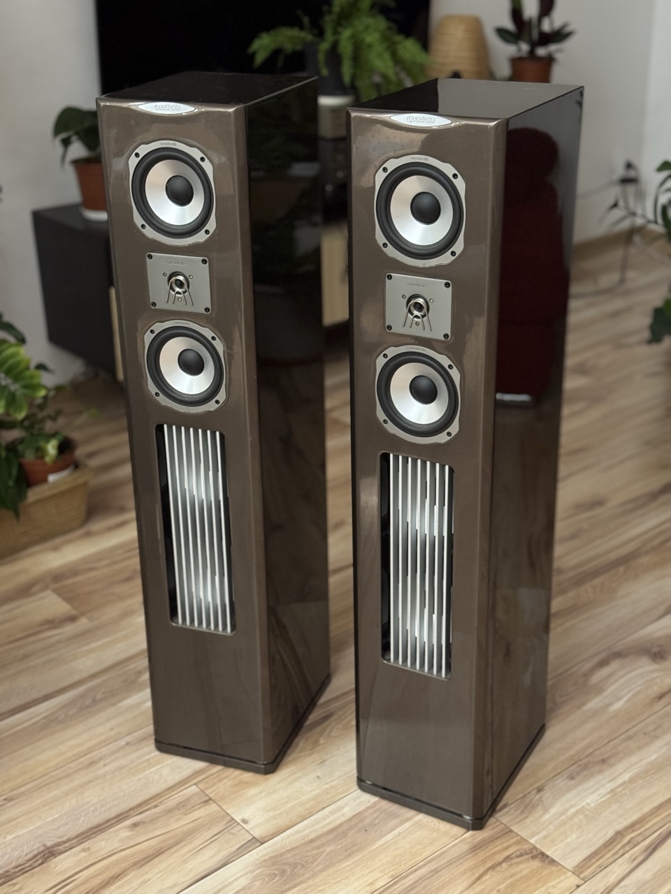 Quadral Platinum M5 para | Pabianice | Ogłoszenie na Allegro Lokalnie
