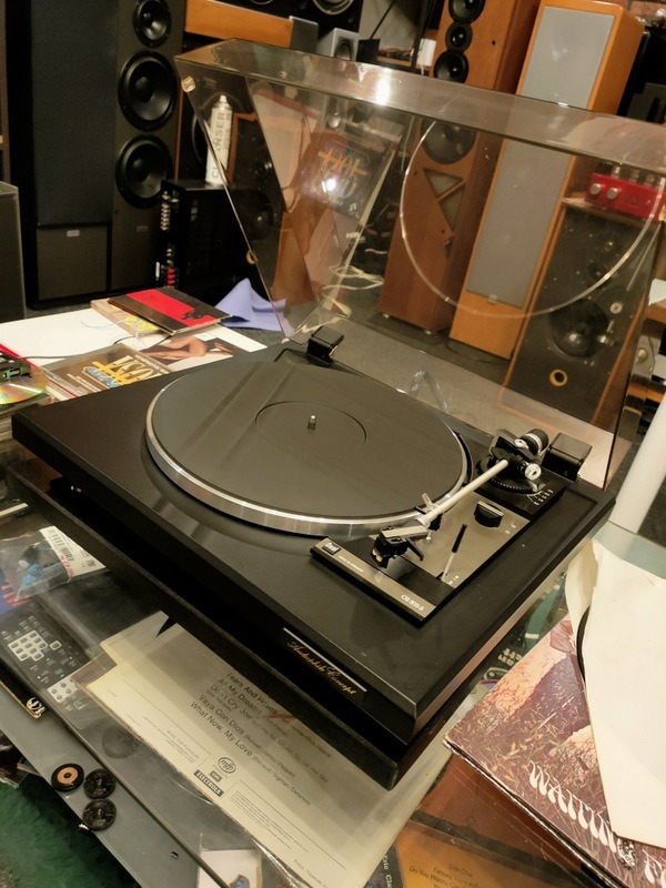 Dual 503-2 Audiophile Concept ! SHURE | Konstantynów Łódzki | Kup teraz ...