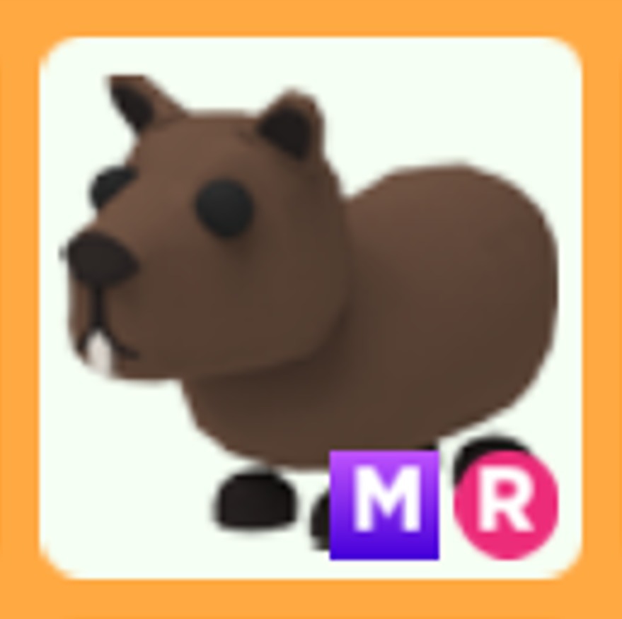 Roblox Adopt Me Capybara MFR mega neon FR | Lwówek | Kup teraz na ...