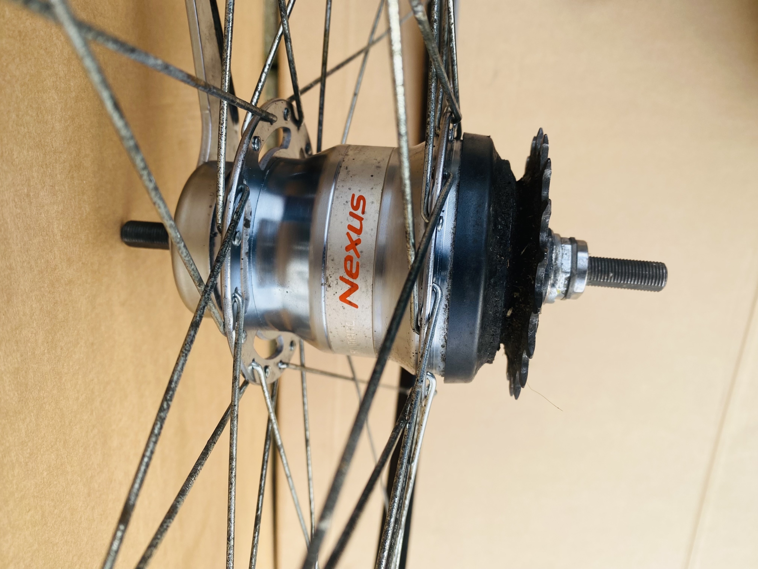 Koło SHIMANO NEXUS 7 Biegów Tylne 28" SG-C3000-7C | Milicz | Kup teraz ...