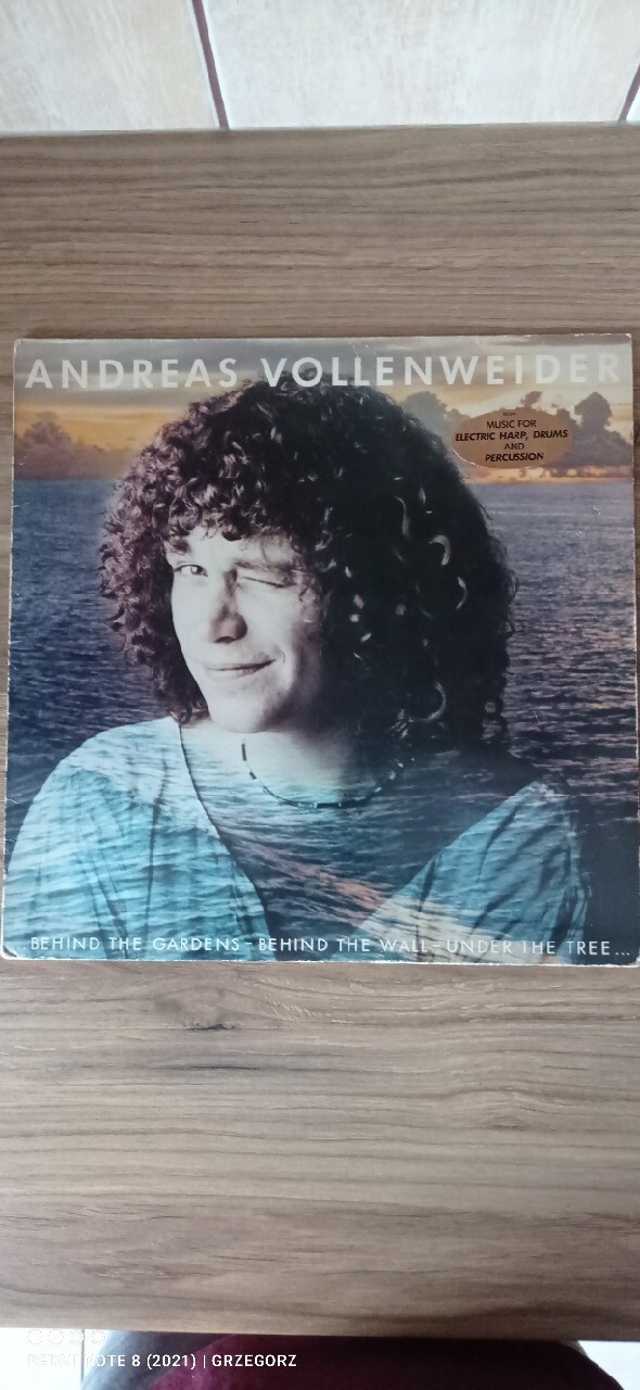 Andreas Vollenweider Behind the Gardens Behind the wall under the tree ...