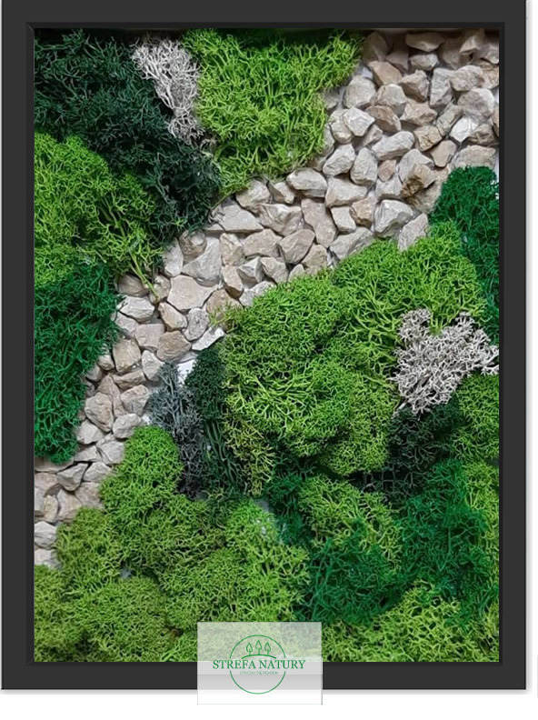 Obraz z mchu chrobotka 40x50 cm | Końskie | Kup teraz na Allegro Lokalnie