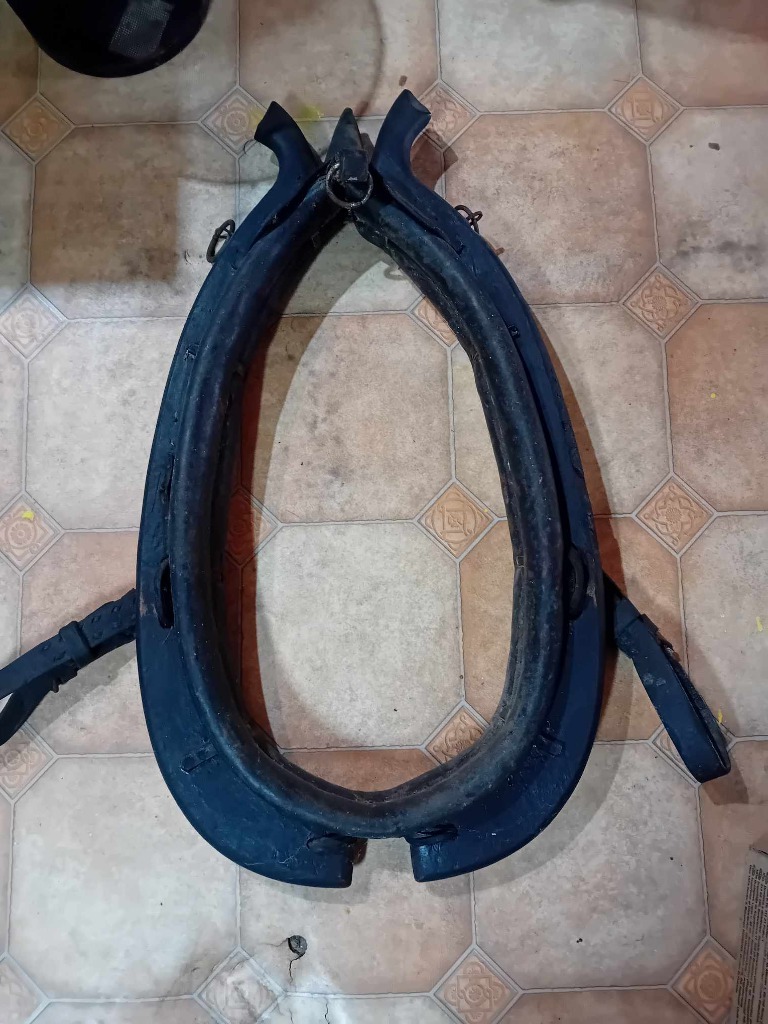 Homonto dla Koni - Niska cena na Allegro.pl