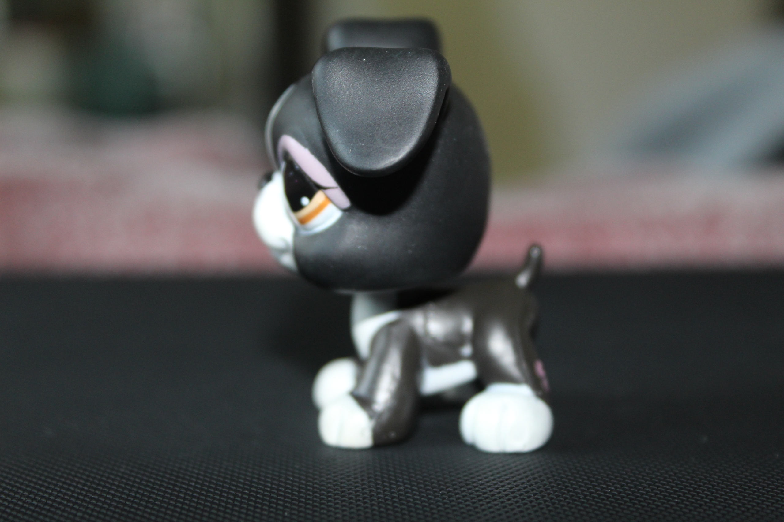 LPS Littlest Pet Shop piesek bokser #826 | Kęty | Kup teraz na Allegro ...