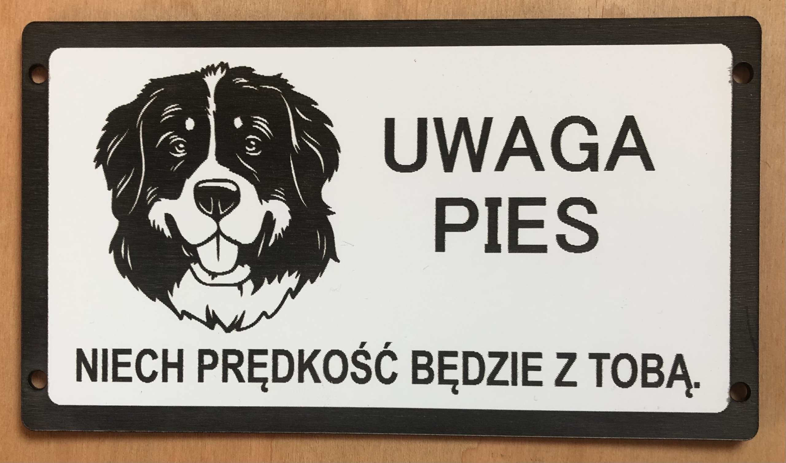Tabliczka ostrzegawcza Berneński pies pasterski | Przylesie | Kup teraz ...