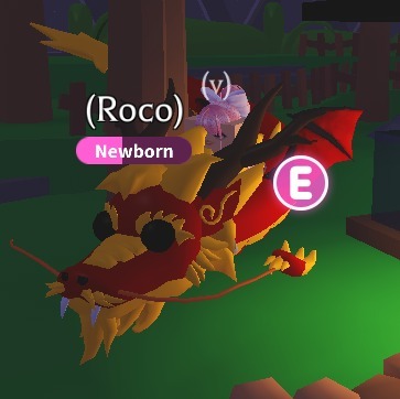 Adopt Me Roblox R Dancing Dragon | Chełmek | Kup teraz na Allegro Lokalnie