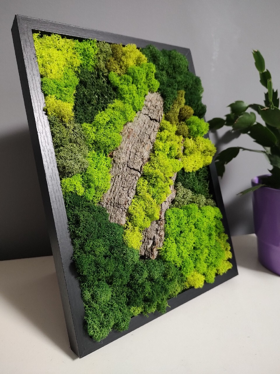 Prezent obraz mech chrobotek ramka 3D 23x32cm | Ruda Śląska | Kup teraz ...