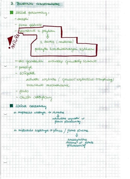 Notatki z biologii od studentki weterynarii | Połczyn-Zdrój | Kup teraz ...