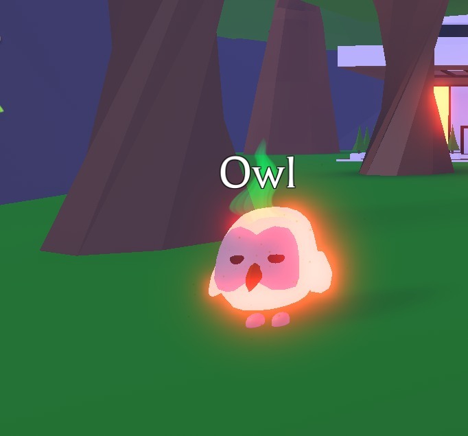 Adopt me OWL neon NFR luminous | Płońsk | Kup teraz na Allegro Lokalnie