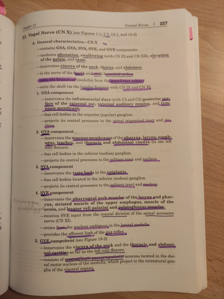 Neuroanatomy James D. Fix 3rd edition | Kraków | Ogłoszenie na Allegro ...