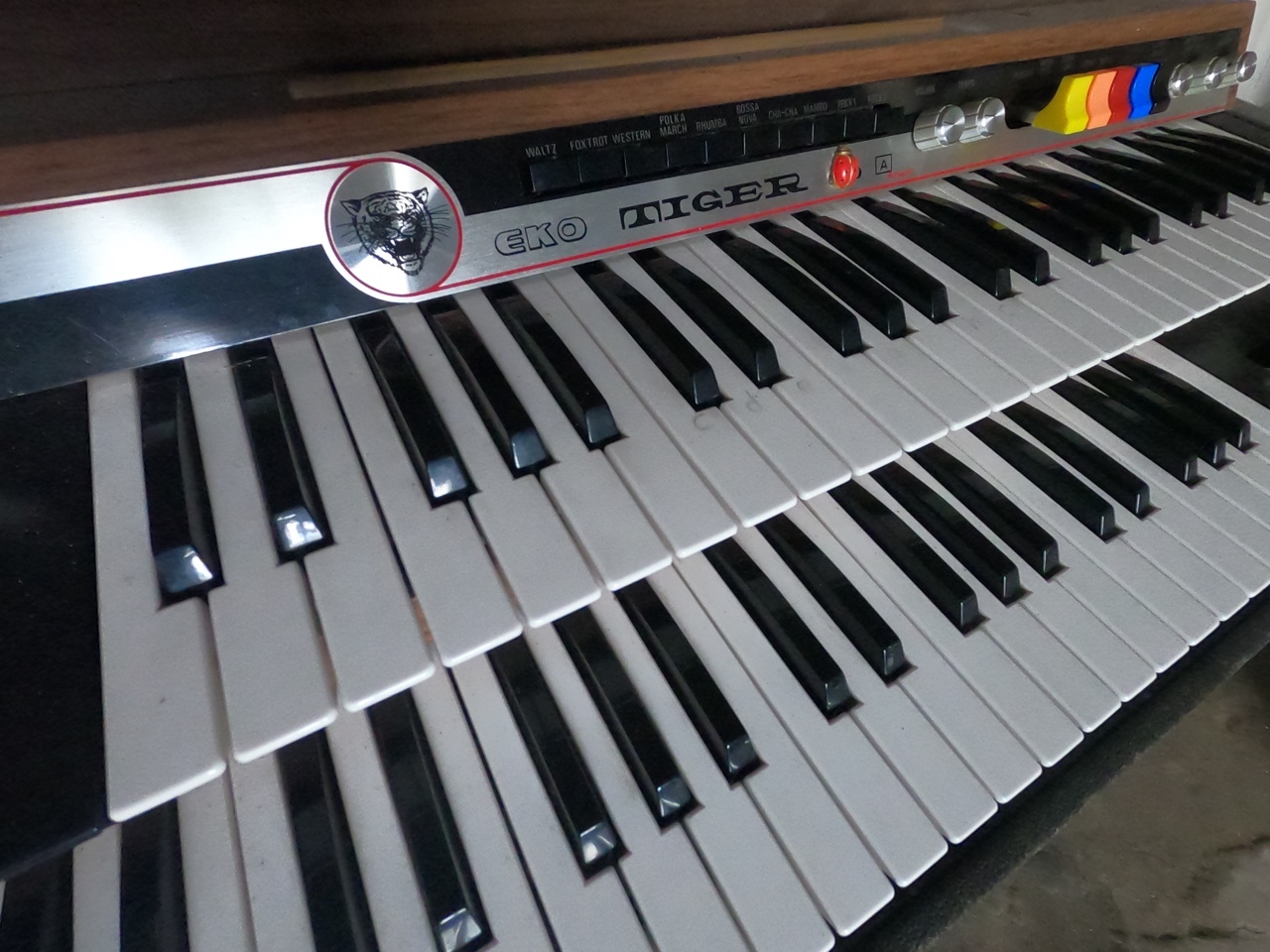 EKO Tiger organy vintage Duo uszkodzone | Wrocław | Kup teraz na ...