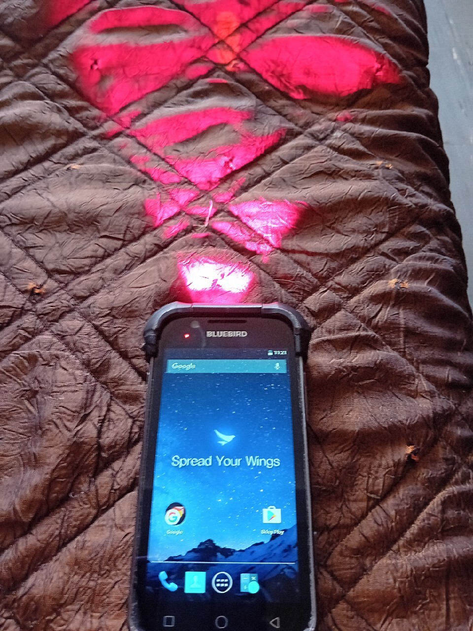 BlUEBIRD EF 500 czytnik koduw kreskowych | Dąbrowa Górnicza ...