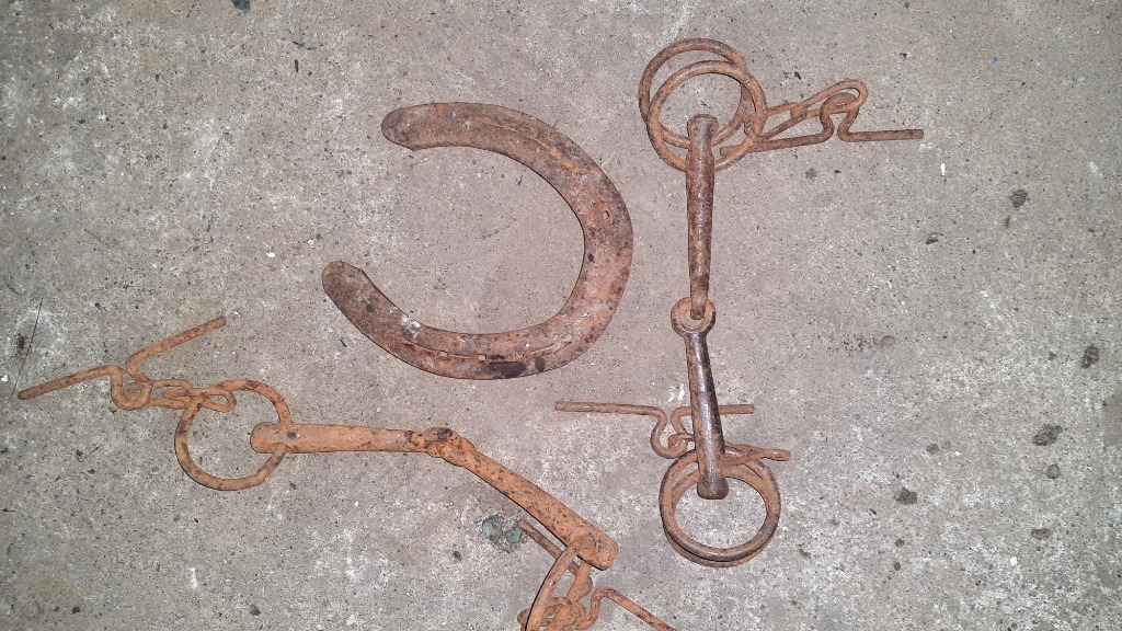 Podkowa końska plus dwie szt wędzidło-munsztuk | Brzozów | Kup teraz na ...