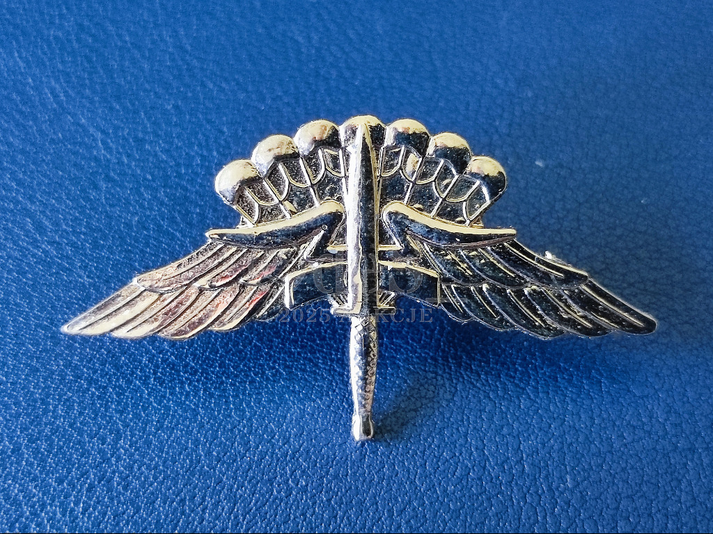 US Army Air Force Military Freefall Parachutist Badge | Błonie ...