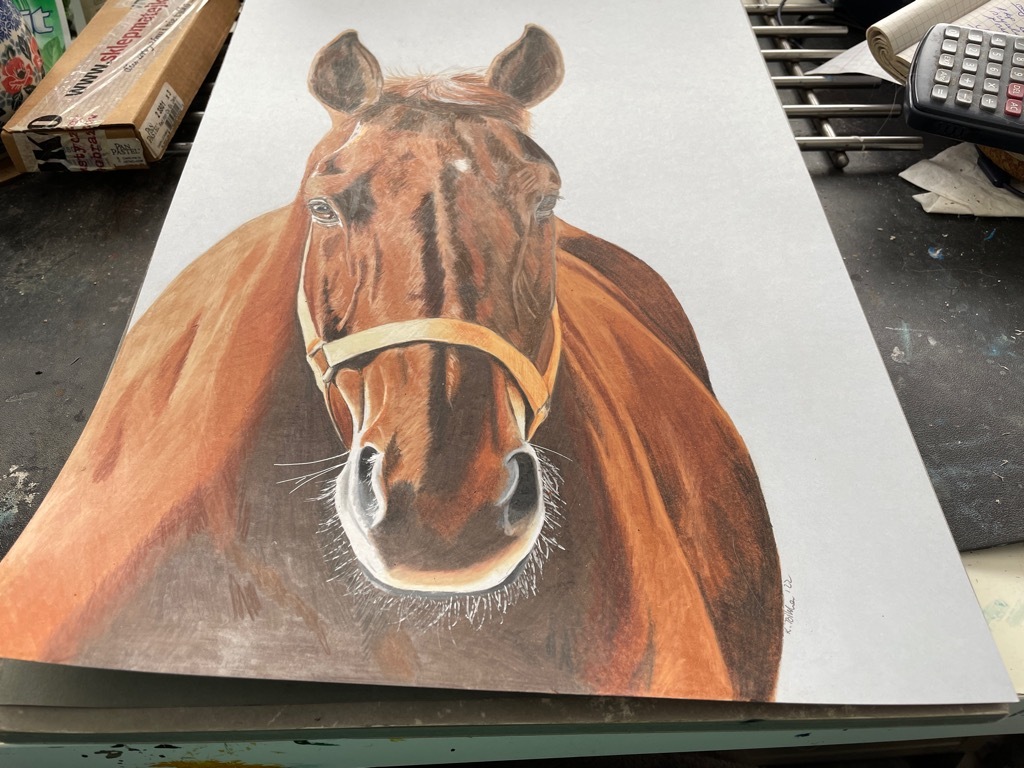 Kasztanowaty koń, rudy, portret, rysunek A3 | Kraków | Kup teraz na ...