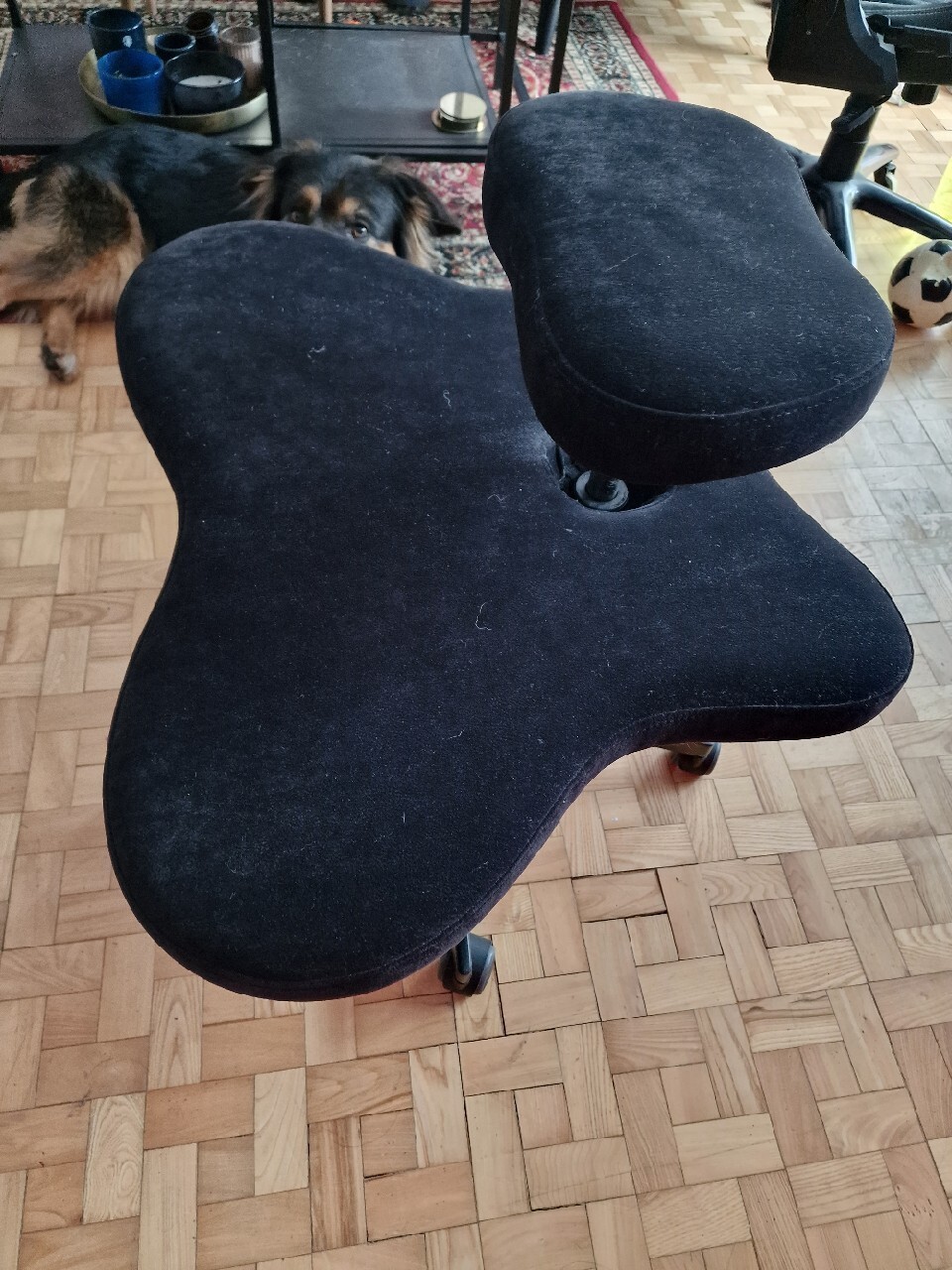 Krzesło Ortopedyczne Dragonfly - Niska cena na Allegro.pl