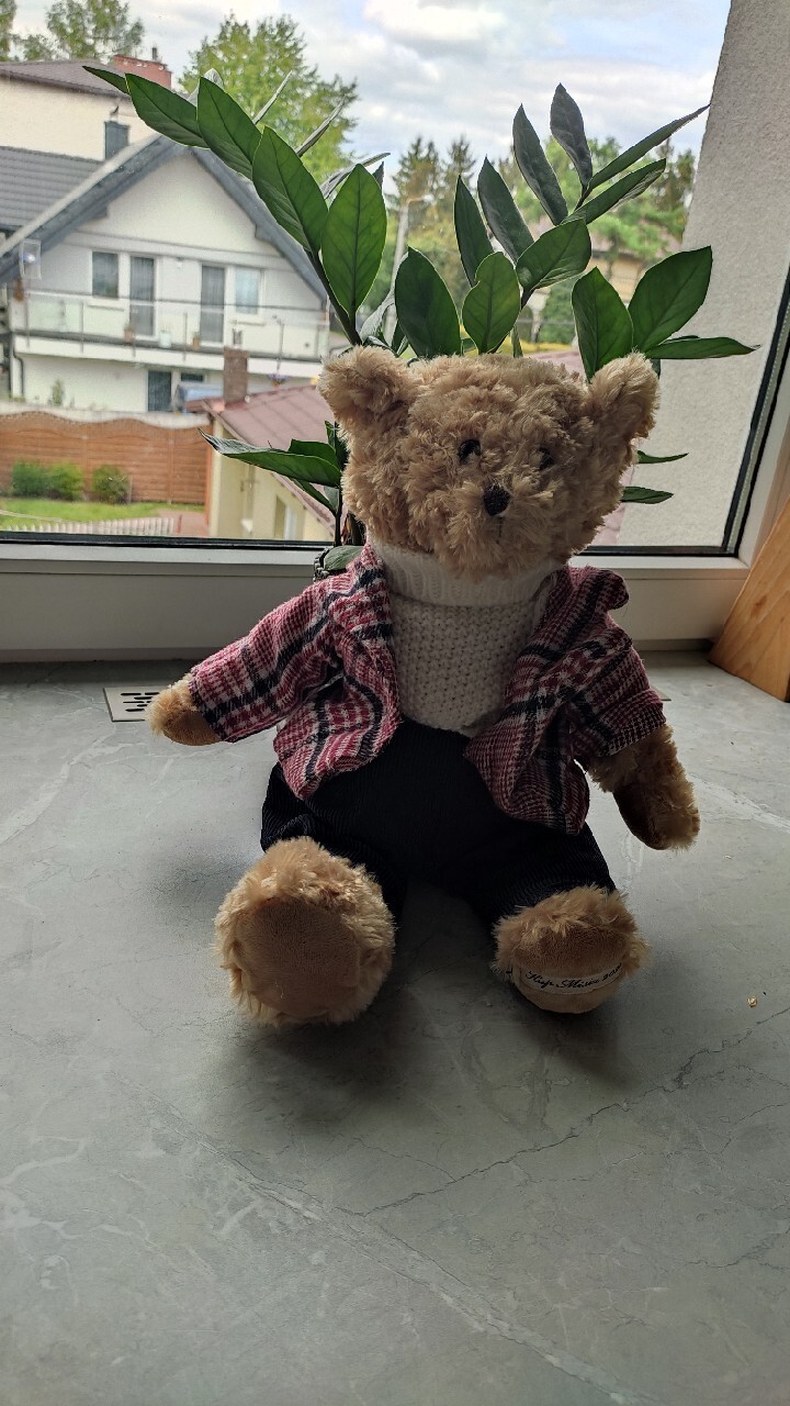 Miś fundacji TVN 2021 | Lublin | Kup teraz na Allegro Lokalnie