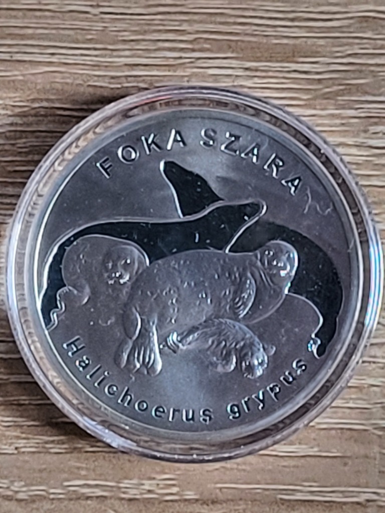 20 zł foka szara 2007 r. WARTO | Łódź | Kup teraz na Allegro Lokalnie