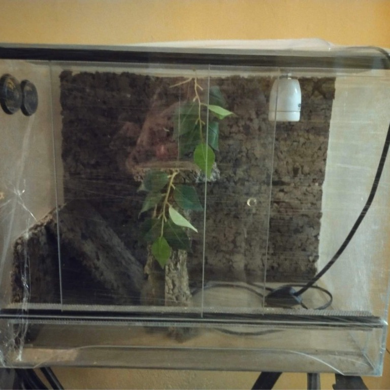 Terrarium 50x40x30 Używane | Bytom | Kup teraz na Allegro Lokalnie