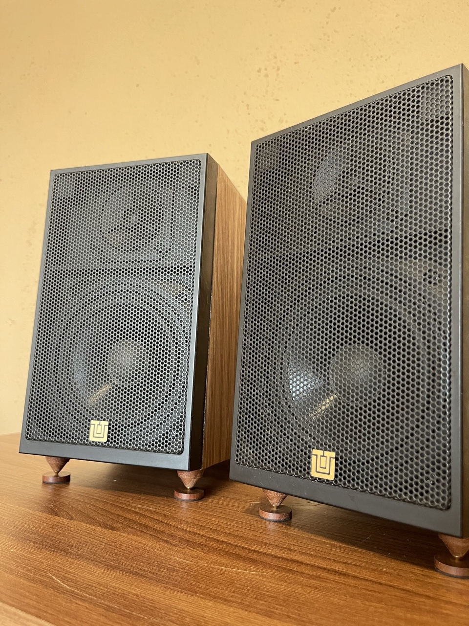 Tonsil Monitory Brązowoczarne jabłoń Złote Logo Unitra | Przytoczna ...