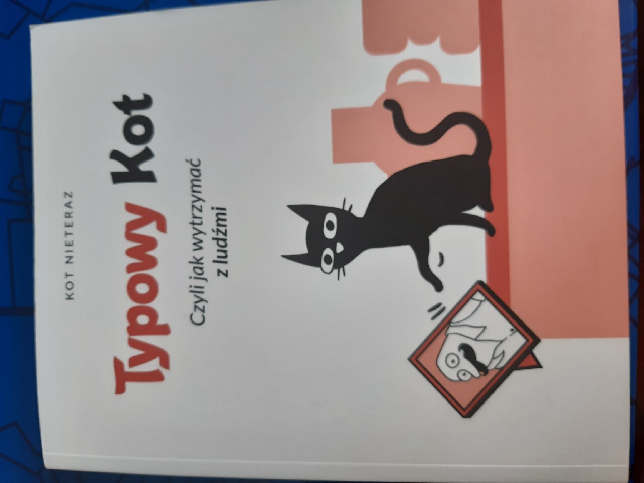 Typowy kot czyli jak wytrzymać z ludźmi | Kraków | Kup teraz na Allegro ...