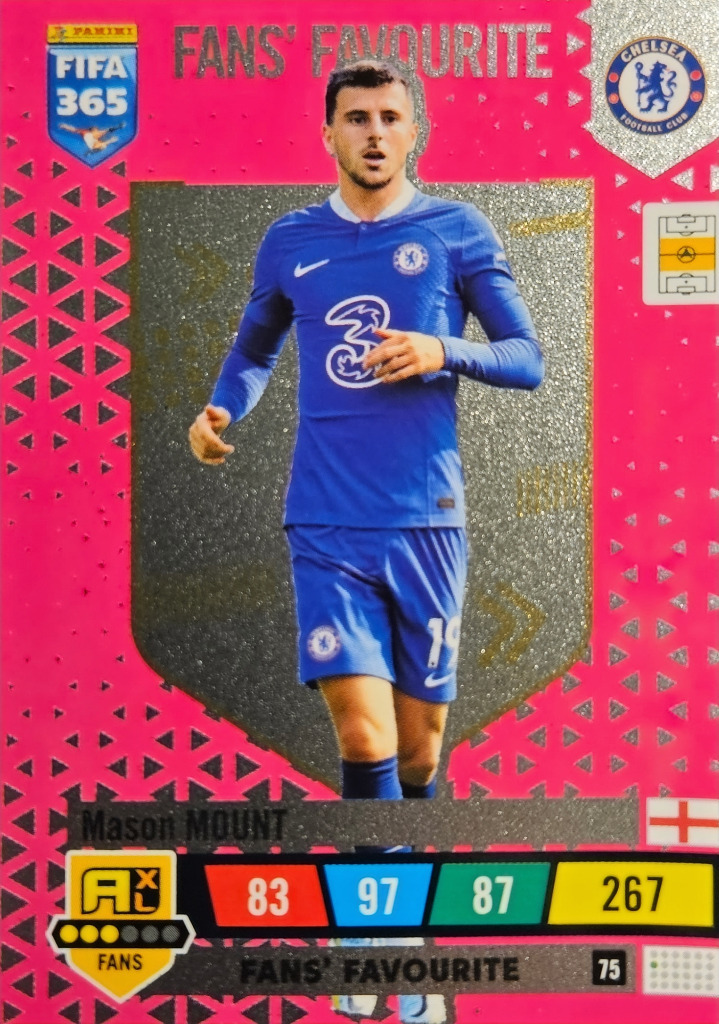 PANINI FIFA 365 2023 FANS FAVOURITE MOUNT 75 | LUBLIN | Kup teraz na ...