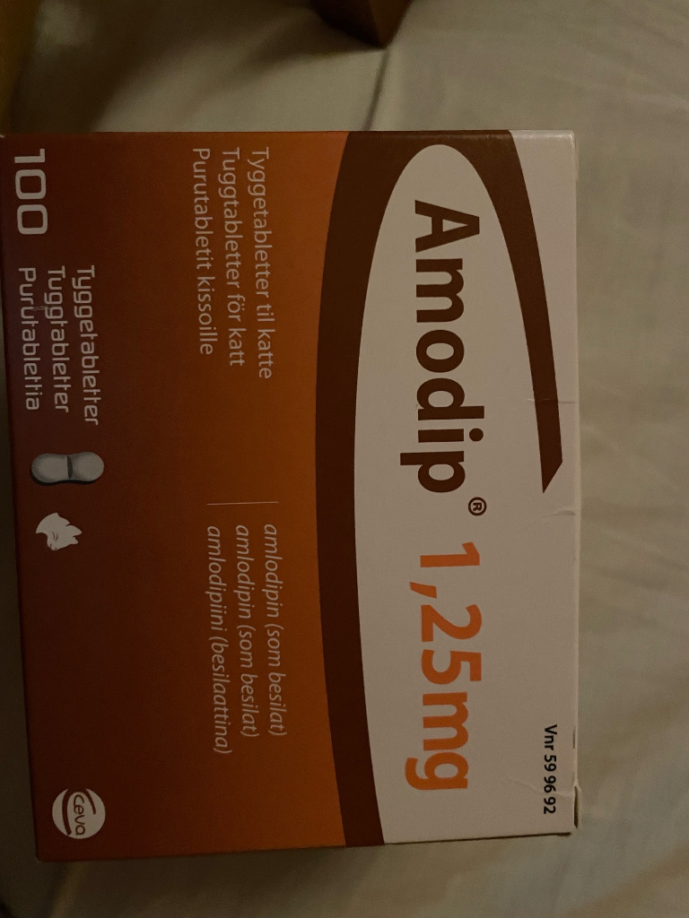 Amodip - Niska cena na Allegro.pl