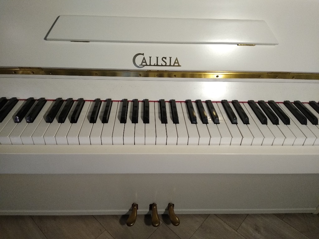 Pianino Calisia M-105 Nocturno | Gdańsk | Kup teraz na Allegro Lokalnie