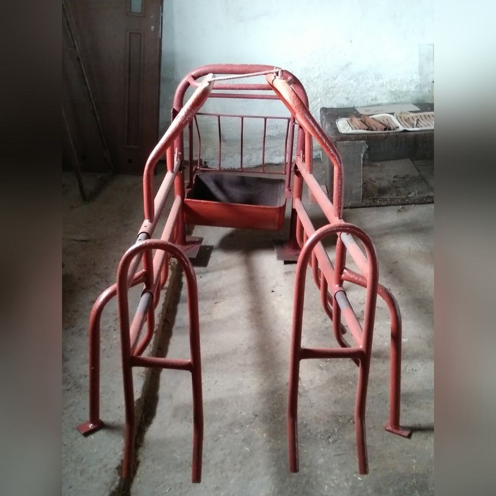 Kojce dla Macior - Niska cena na Allegro.pl