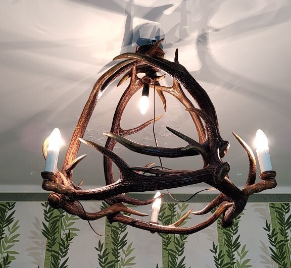 Lampa z Poroza Jelenia - Niska cena na Allegro.pl