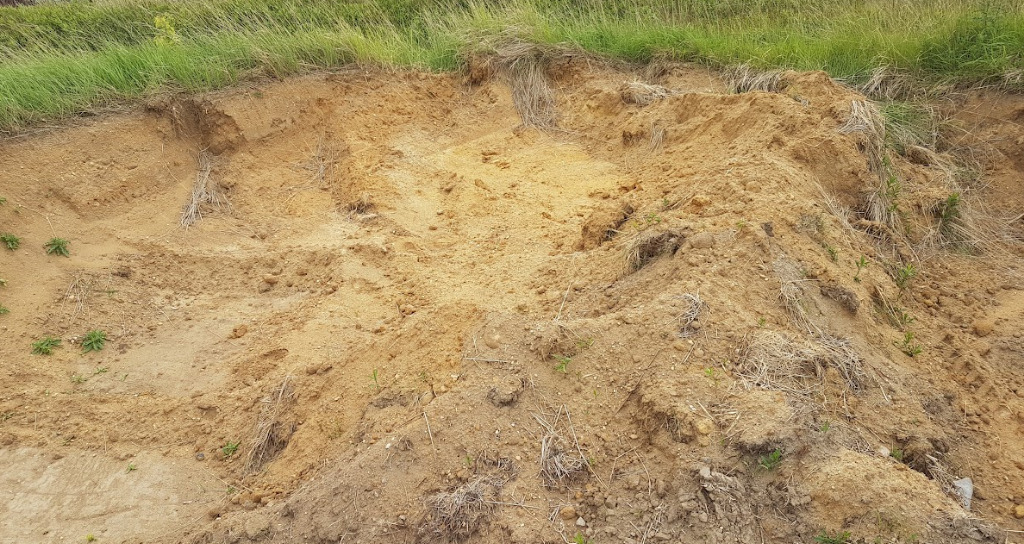 Oddam za darmo ziemię humus Ziemia Humus | Sadków | Ogłoszenie na ...