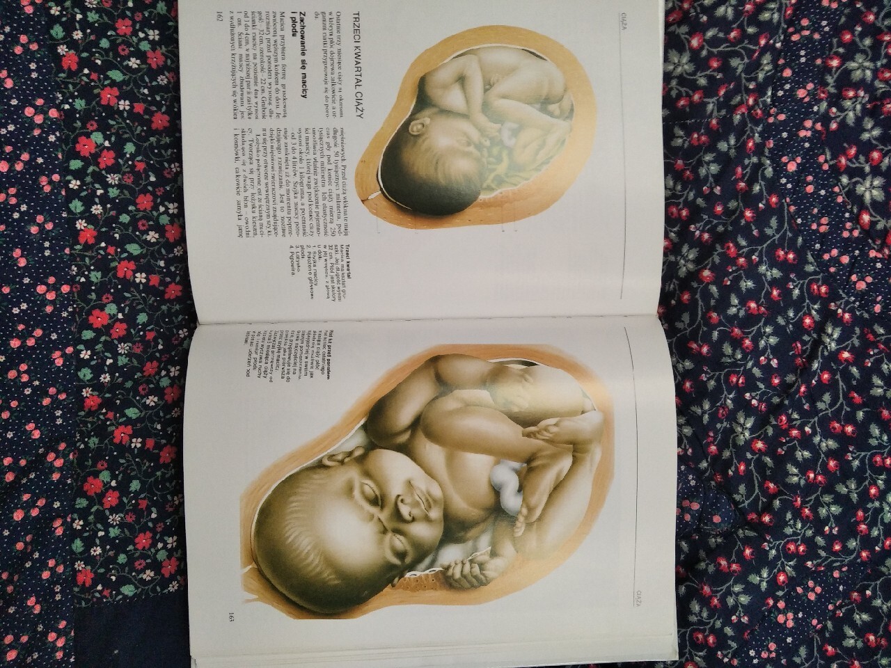 Encyklopedia wychowania seksualnego dla dorosłych | Ścinawa | Kup teraz na Allegro Lokalnie