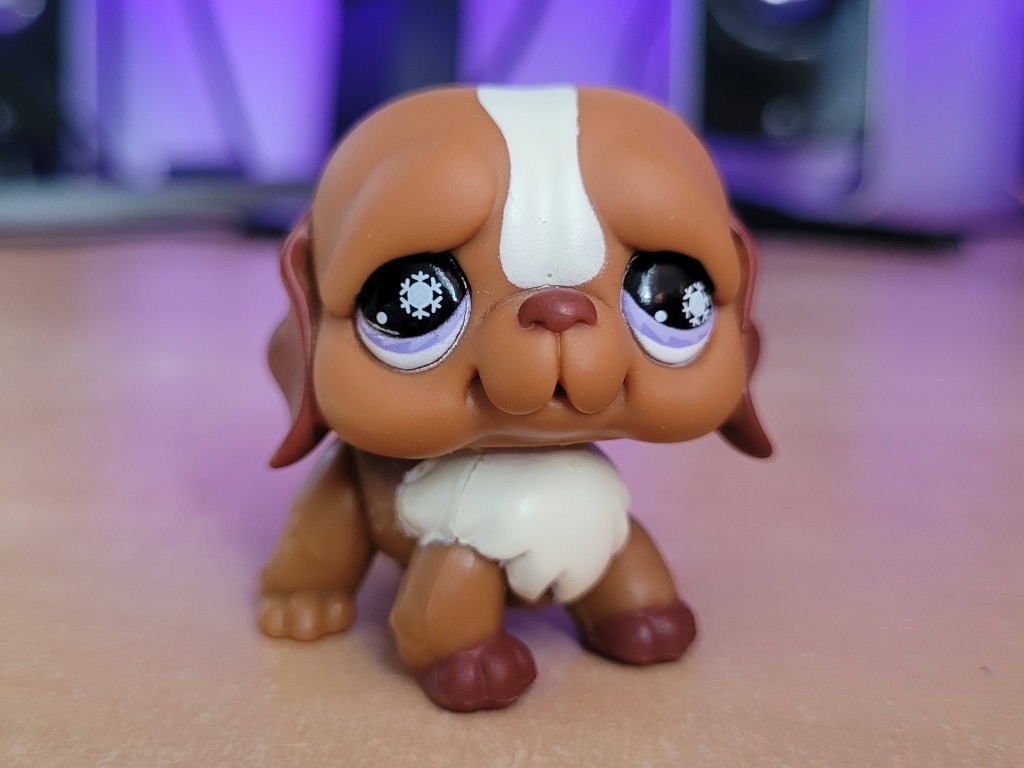 LPS Littlest Pet Shop pies piesek bernardyn #729 | Środa Wielkopolska ...