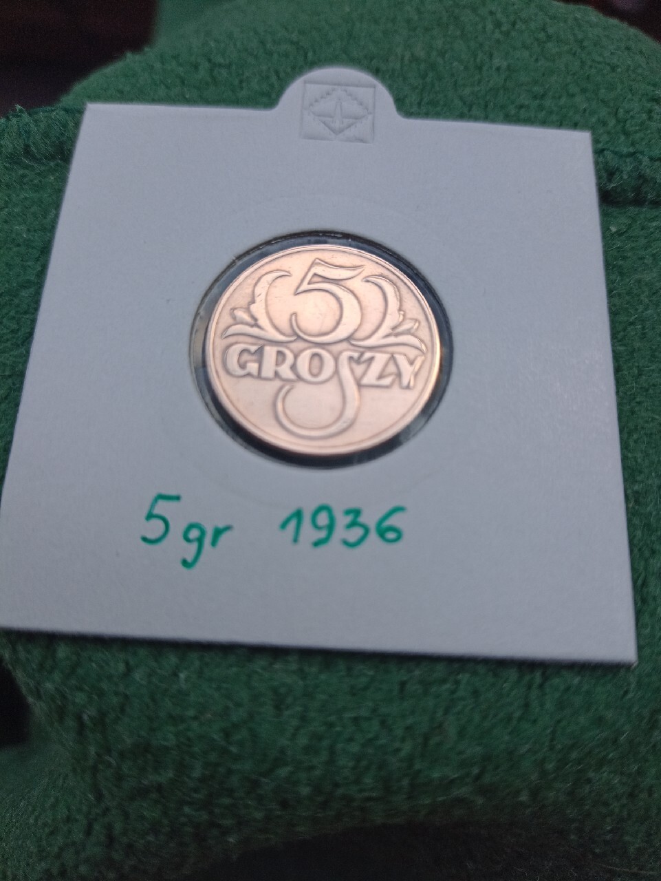 5 groszy 1936 w holderze | Gdynia | Licytacja na Allegro Lokalnie