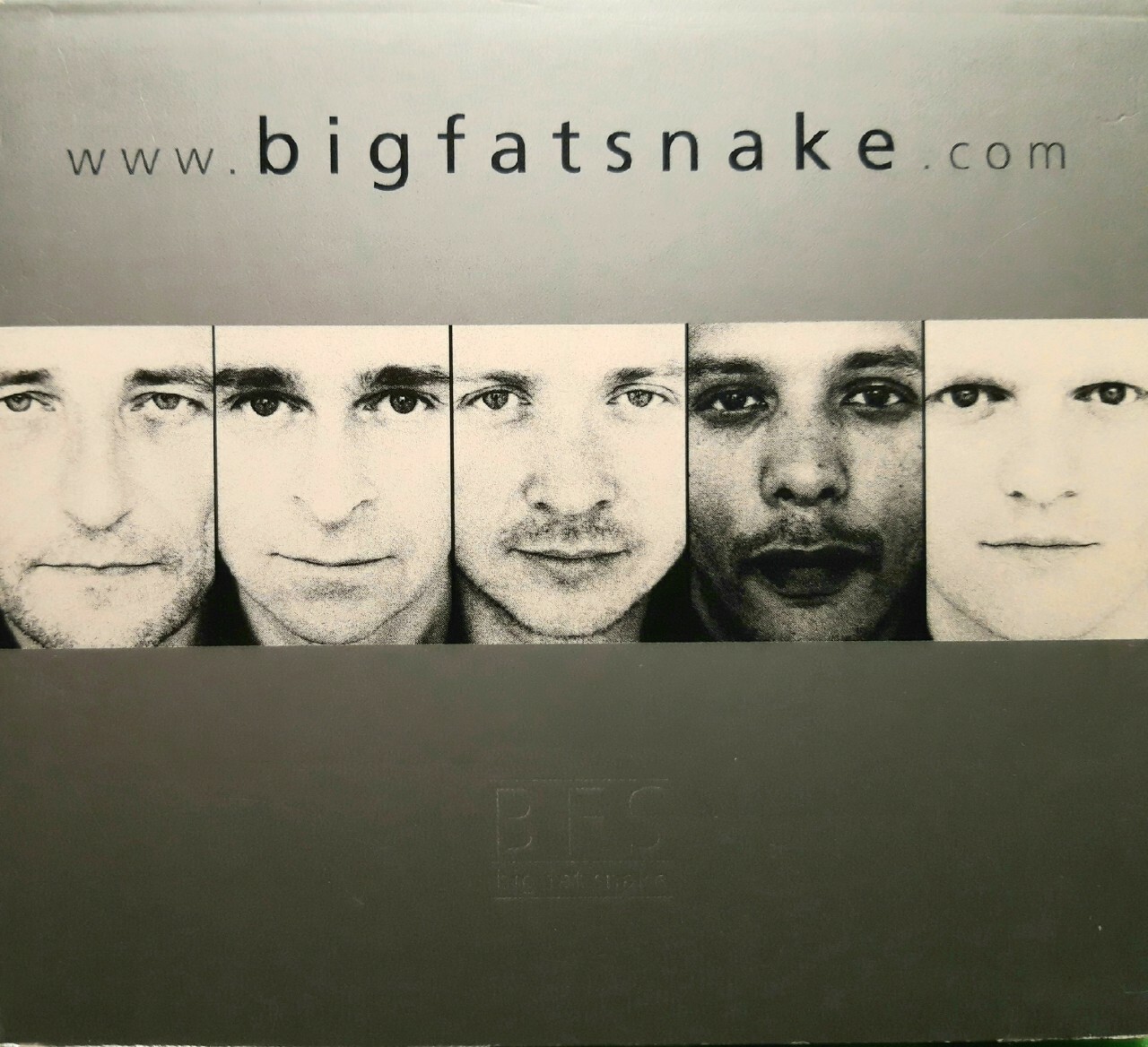 Big Fat Snake – WWW bigfatsnake com (CD, 1998) | Łomianki | Kup teraz ...