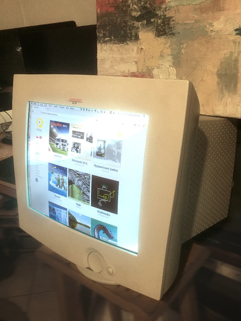 Monitor CRT HIGHSCREEN MS 19P 19" do retro gier | Golęczewo ...